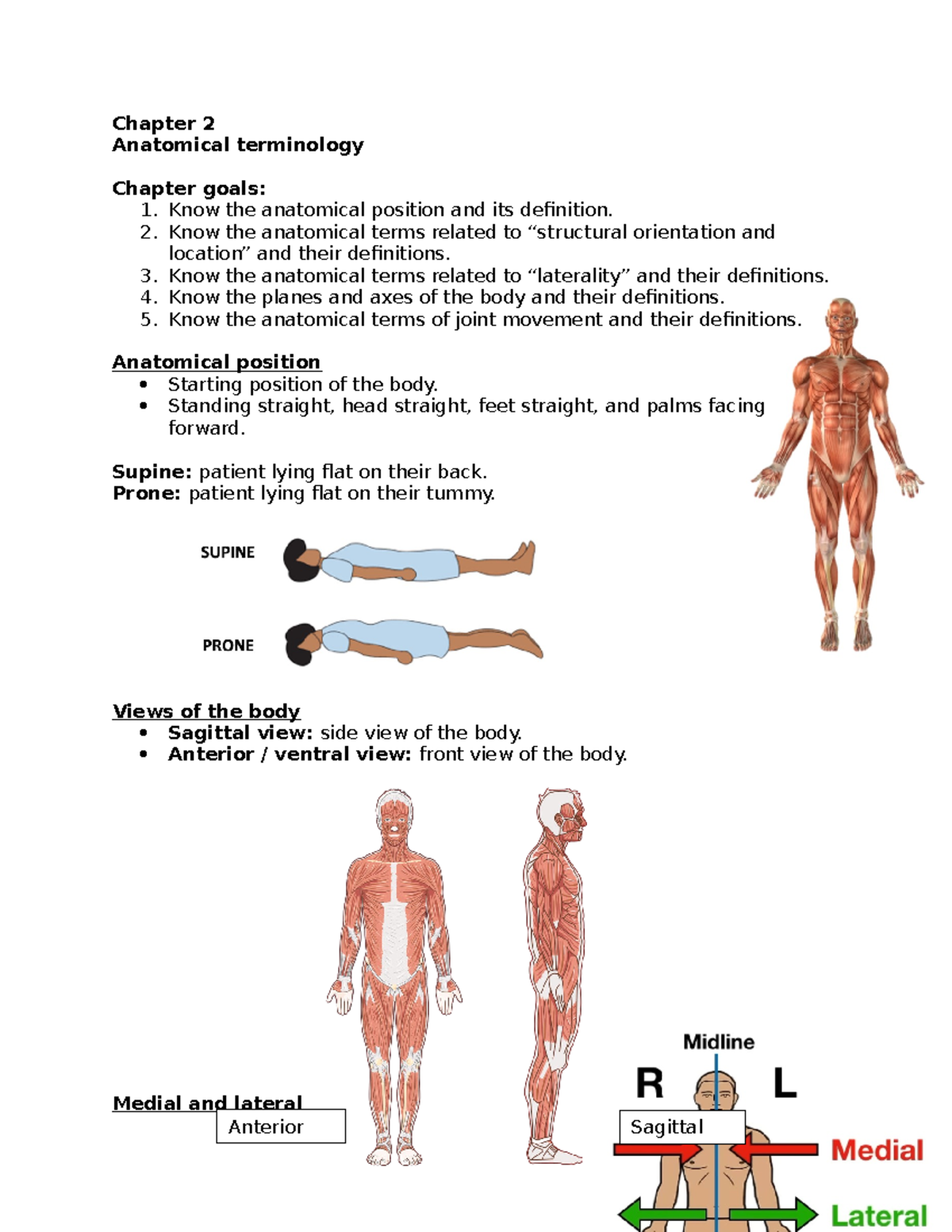 Chapter 2 - Notes - Chapter 2 Anatomical terminology Chapter goals: 1 ...