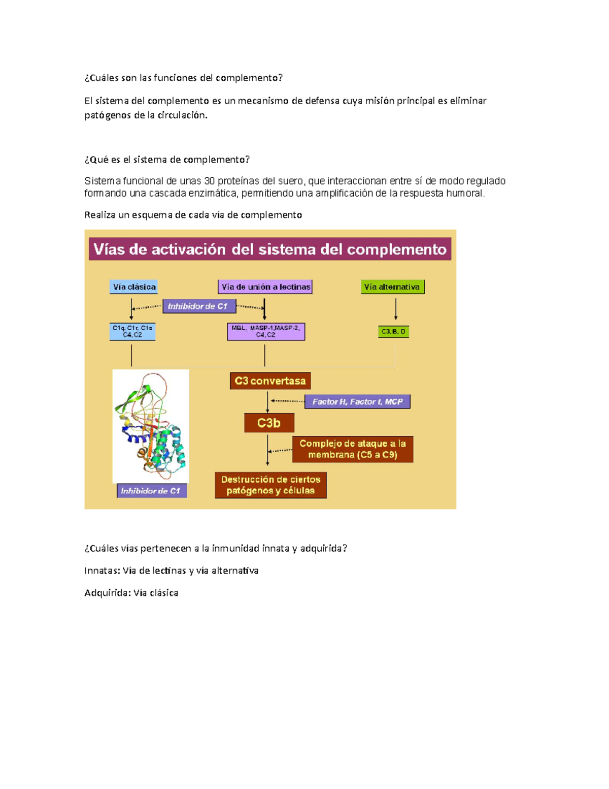 Cuáles son las funciones del complemento - ¿Cuáles son las funciones del complemento? El sistema ...