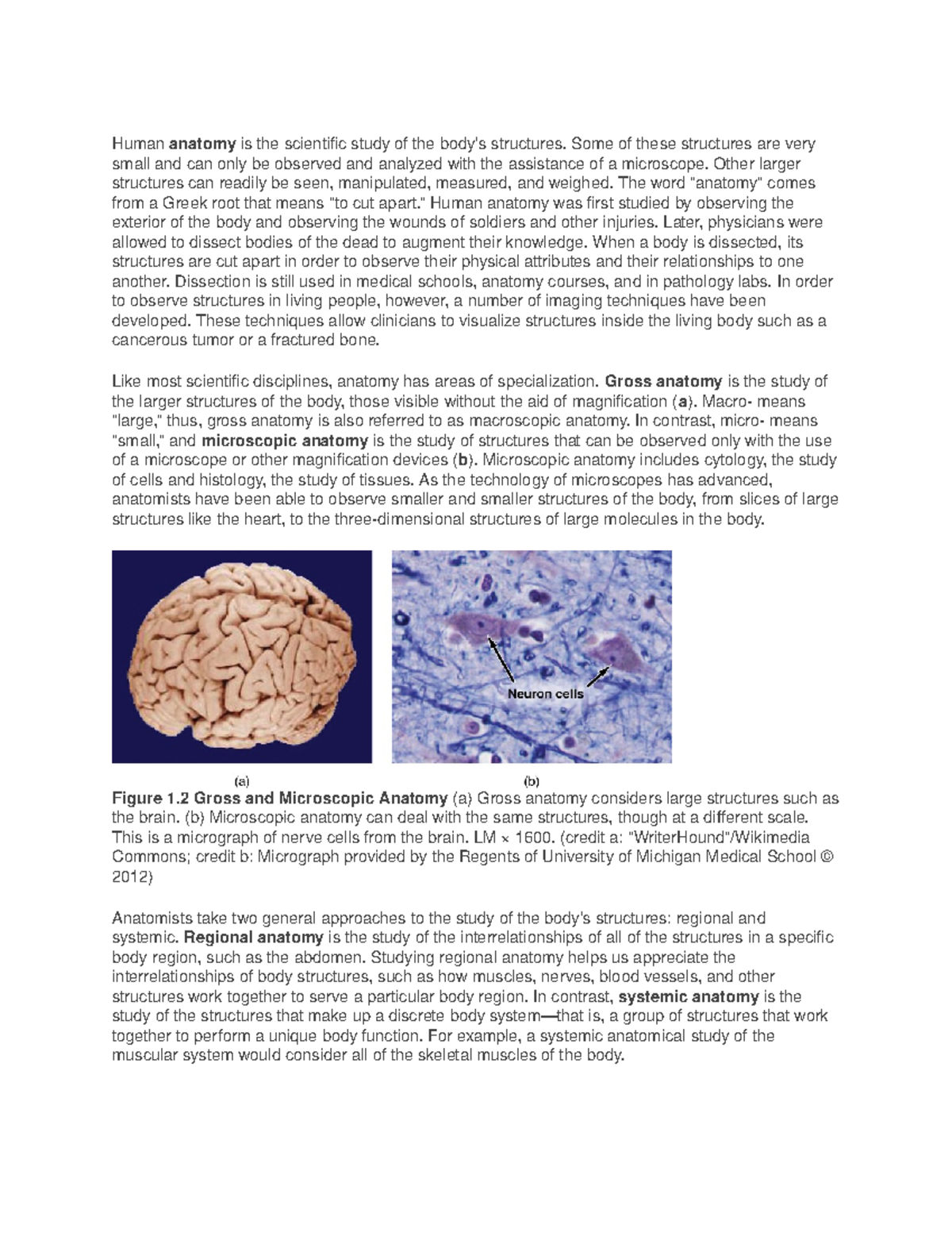 Structure and function of the human body notes 2 - Human anatomy is the ...