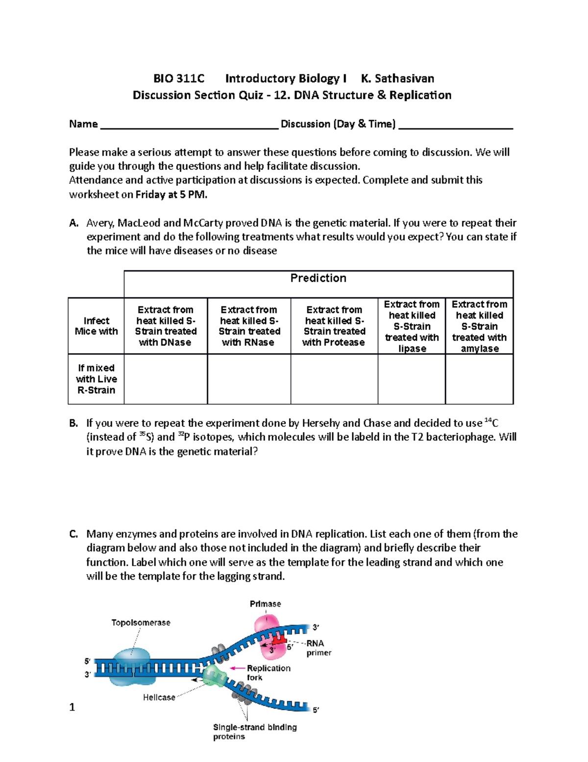 DSW 13. DNA Structure - Replication Fall 2022 - BIO 311C Introductory ...