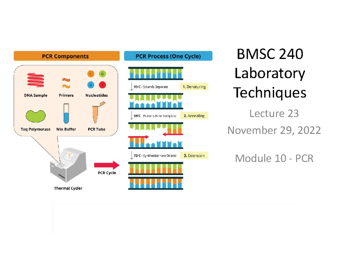 240 L23 - LECTURE NOTES - BMSC 240 Laboratory Techniques Lecture 23 ...