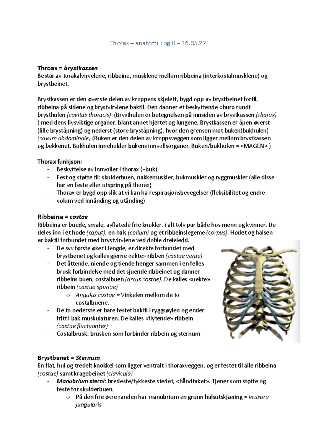 Anatomi sammendrag - Thorax 3 anatomi I og II 3 16. Throax ...