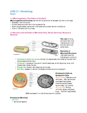 CMB211 URI Lab Report - CMB 211 L05 8 November 2018 Microbiology Lab ...