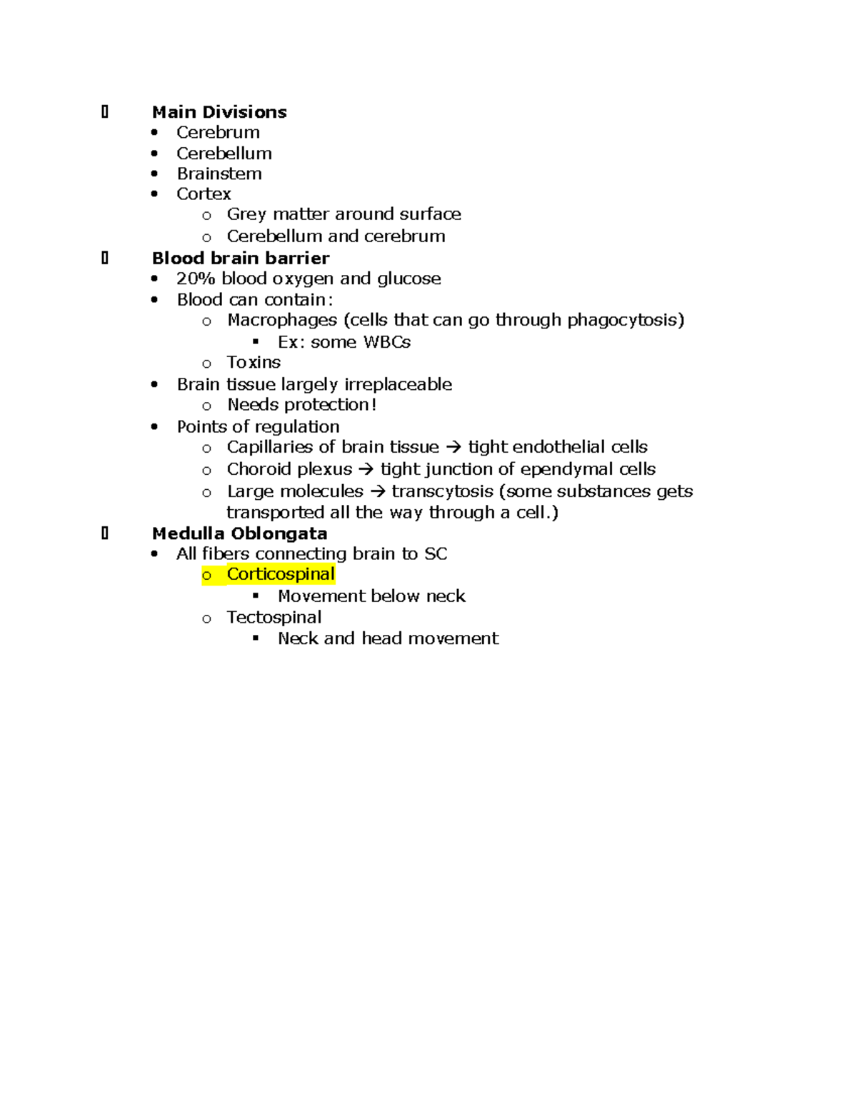 Brain and main divisions - Main Divisions Cerebrum Cerebellum Brainstem ...