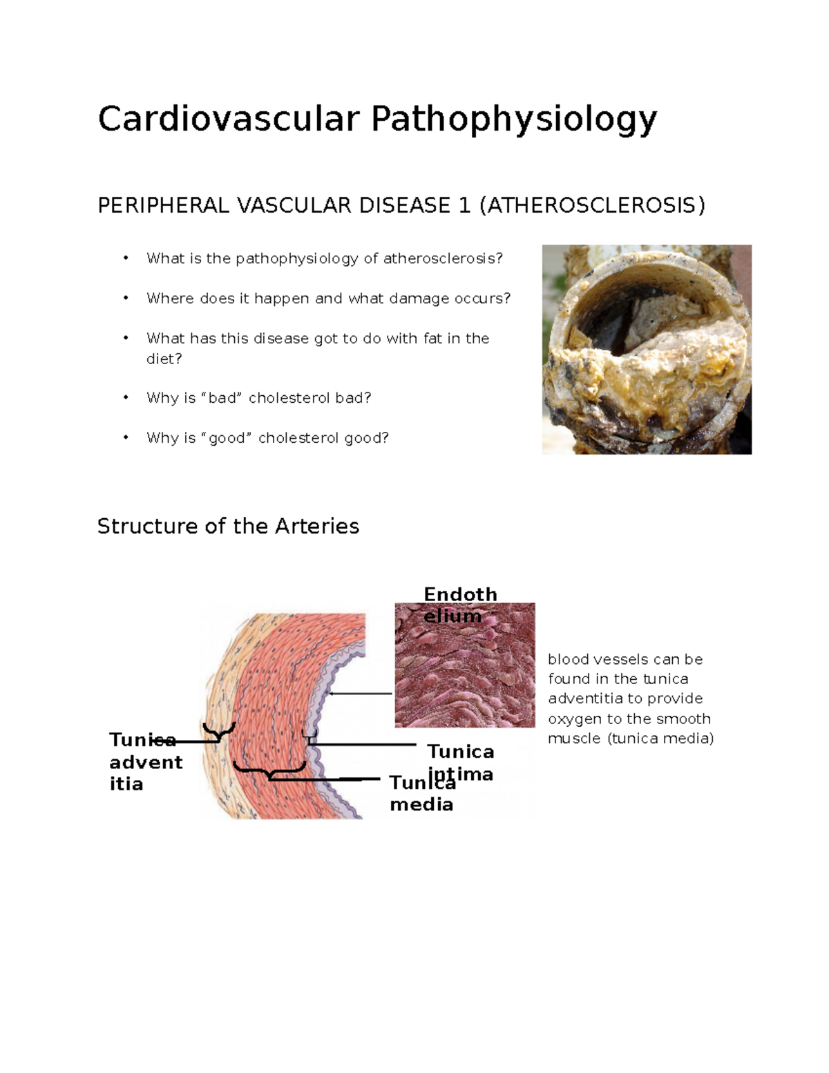 Cardiovascular Pathophysiology - Cardiovascular Pathophysiology ...