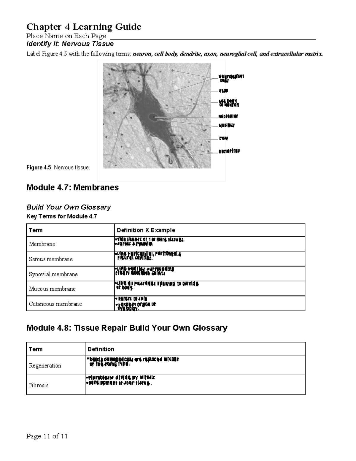 Chapter 4 pg 11 - Chapter 4 Learning Guide Place Name on Each Page ...