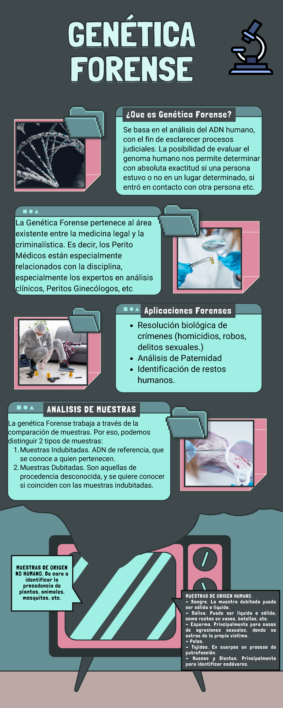 Infografía Gentica forense - GENÉTICAGENÉTICA FORENSE FORENSE ¿Que es Genética Forense? Se basa ...