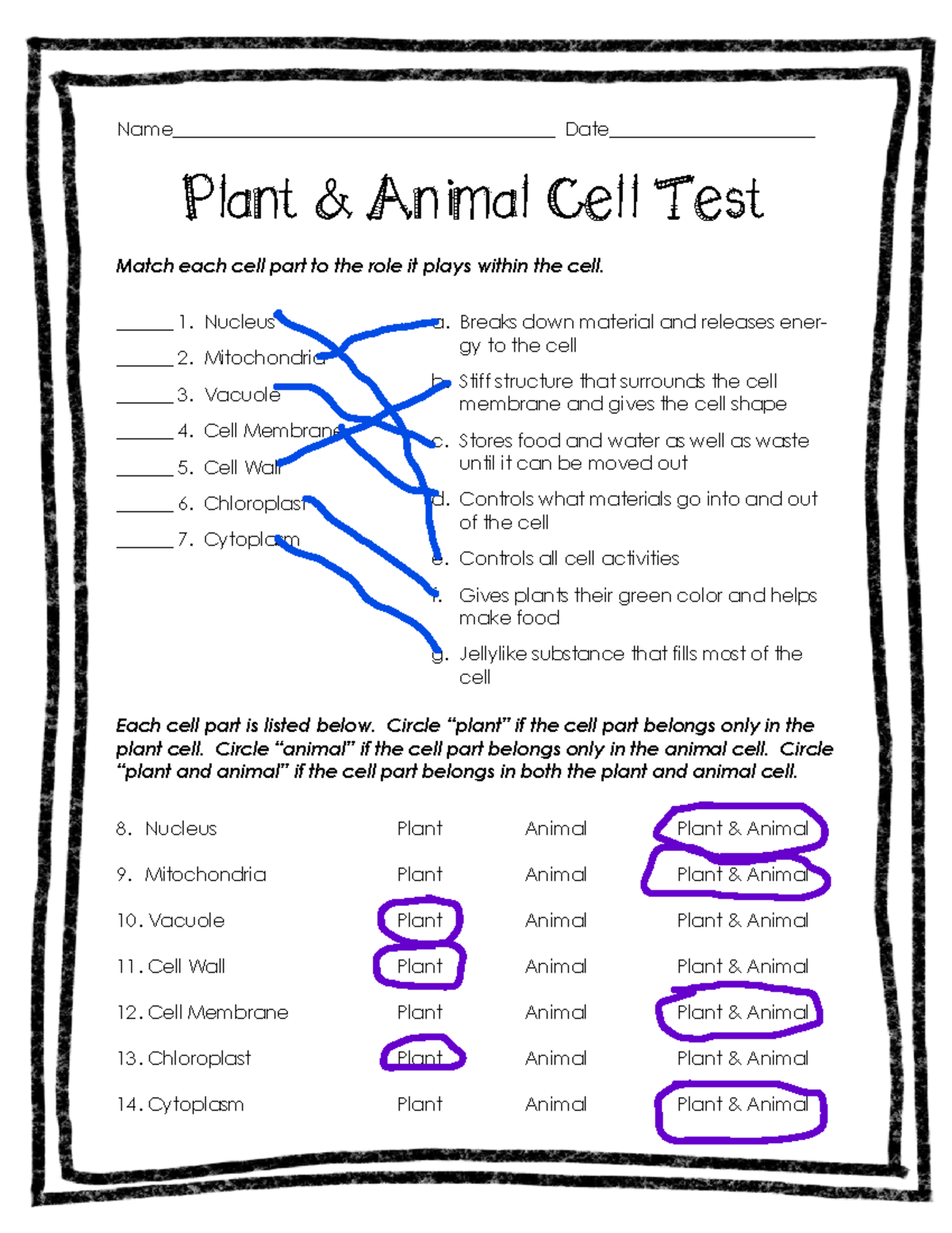 Plant Animal Cell Test-1 - Match each cell part to the role it plays ...
