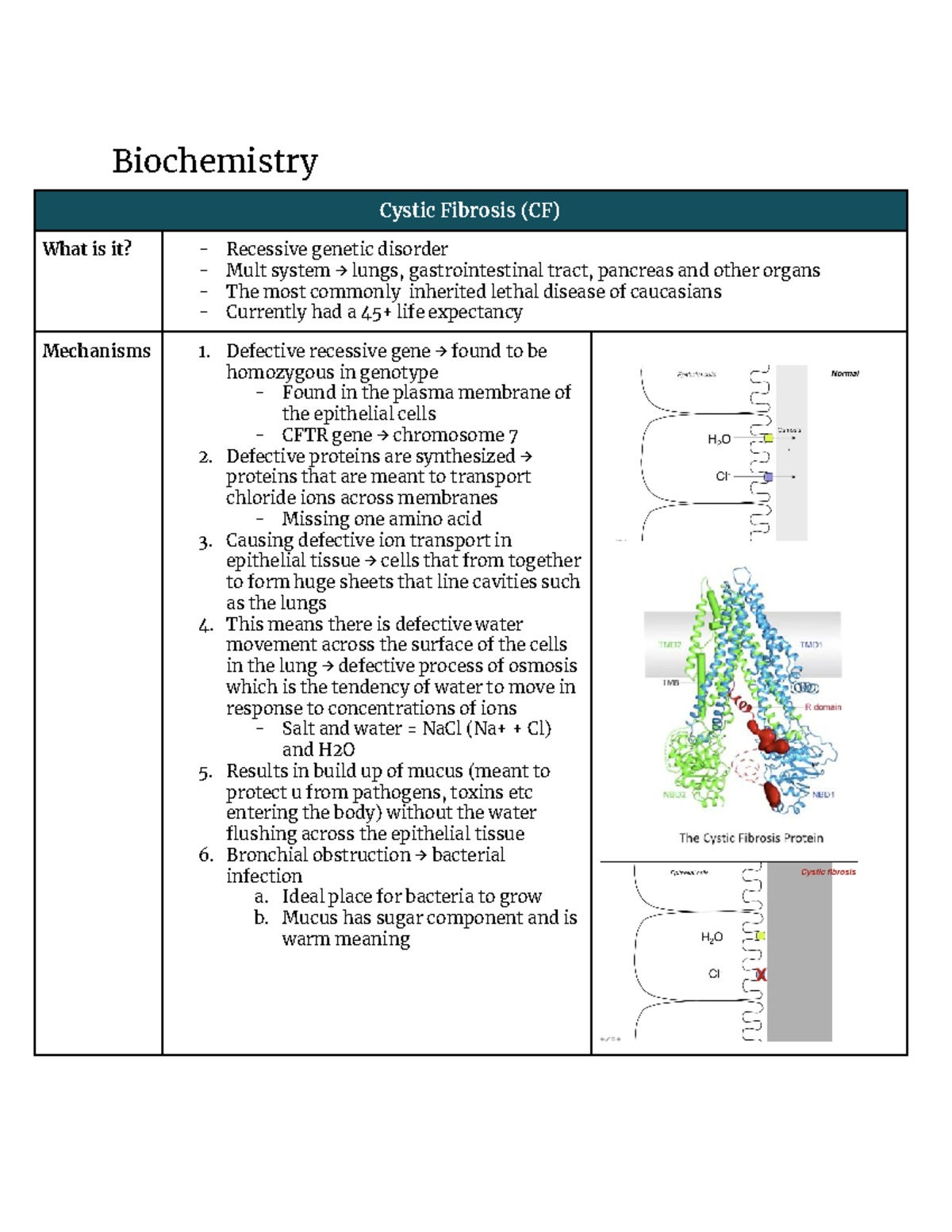 BIO1004 - Lecture notes (All lecture) - Biochemistry Cystic Fibrosis ...