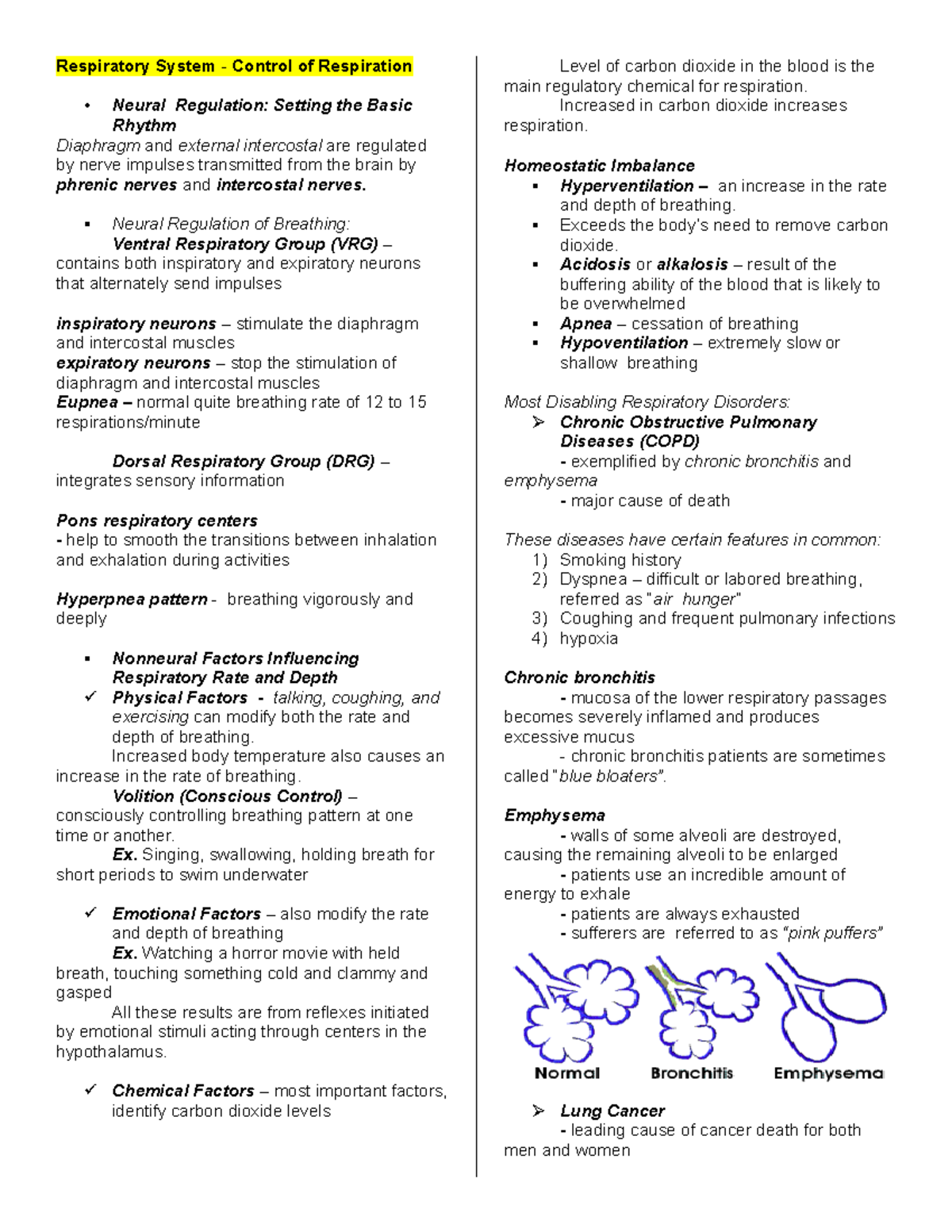 Respiratory System - Control of Respiration - Neural Regulation of ...