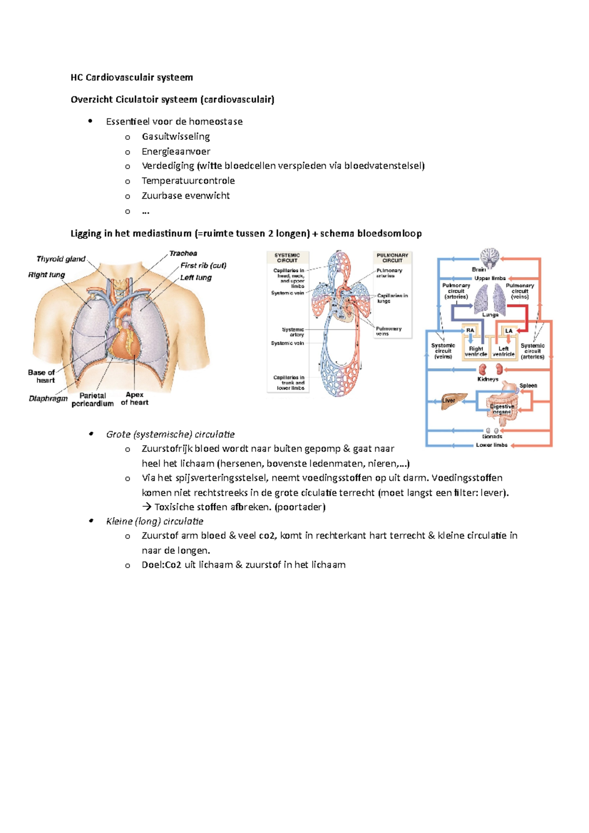 HC Cardiovasculair systeem - HC Cardiovasculair systeem Overzicht ...