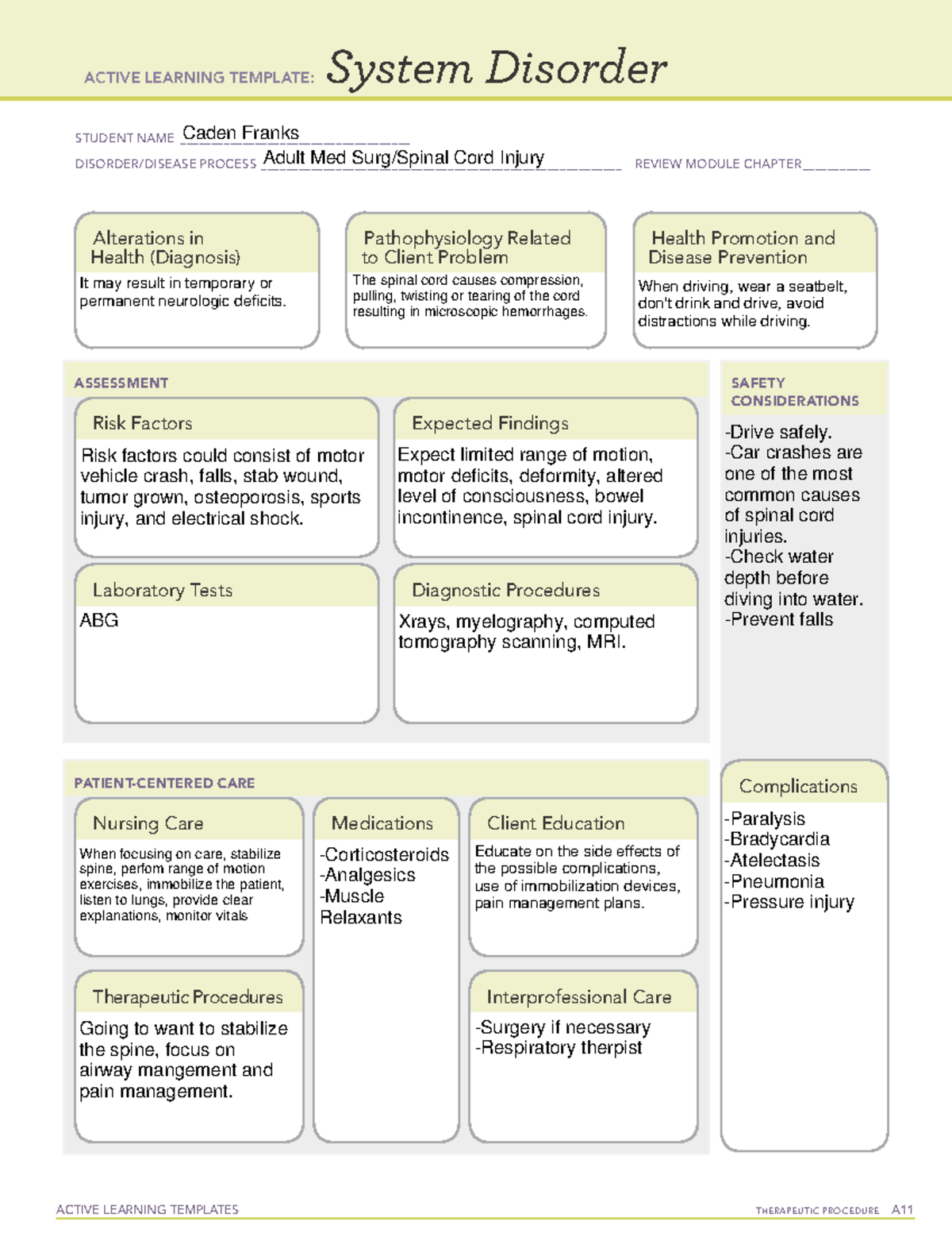 ATI Leadership (Template 5) - ACTIVE LEARNING TEMPLATES TherapeuTic ...
