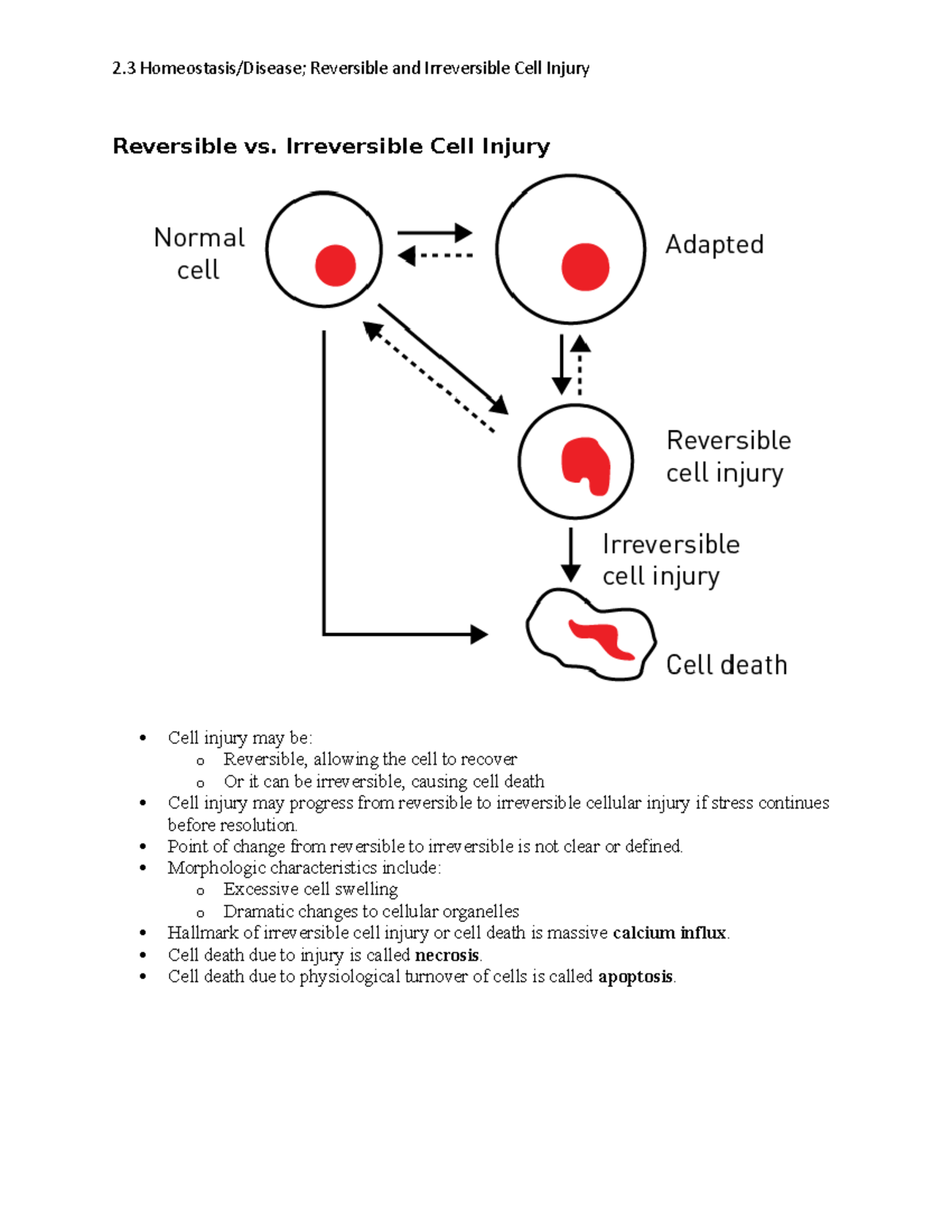 2.3 Homeostasis-Disease - 2 Homeostasis/Disease; Reversible and ...