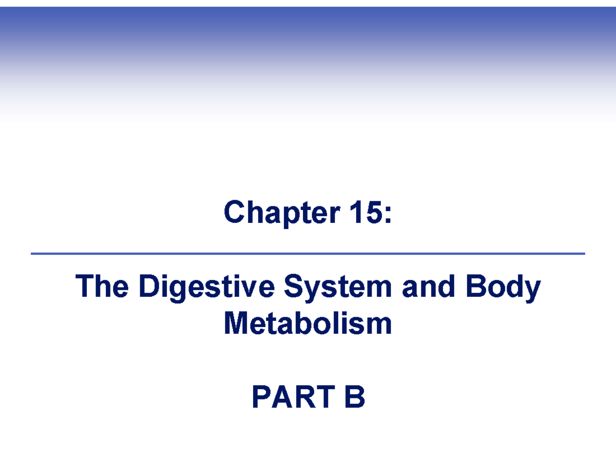 Chapter 15 Digestive System BODY Metabolism PART B Powerpoint - Chapter ...