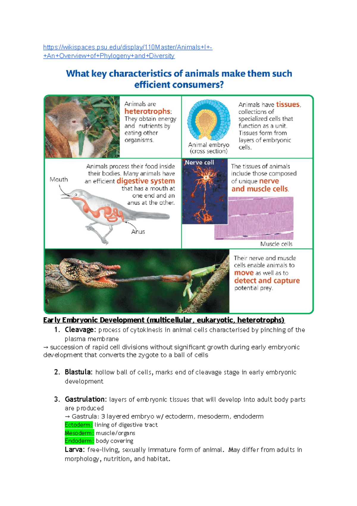 Campbell Biology 32.1-32.3 - wikispaces.psu/display/110Master/Animals ...
