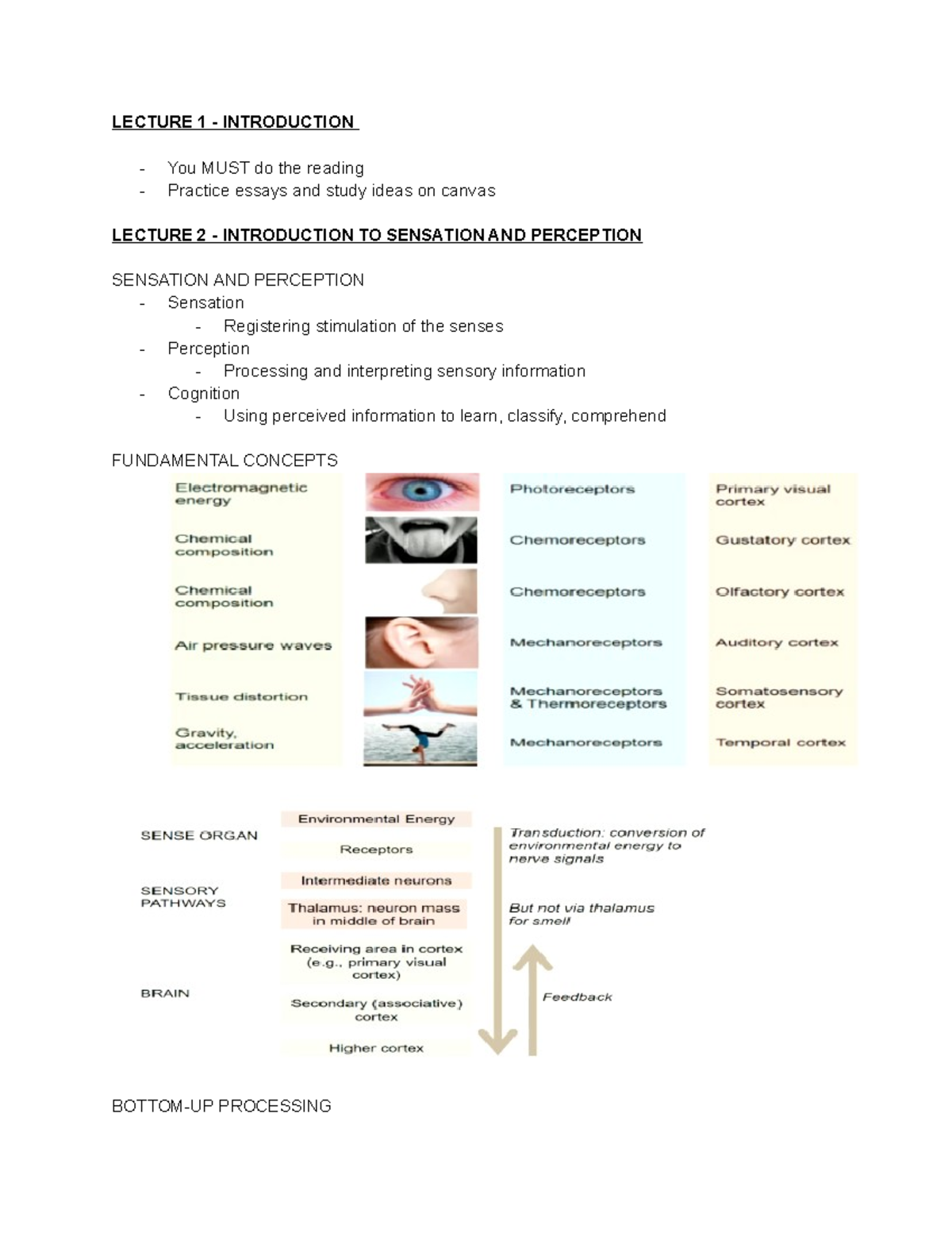 Lectures Lecture Notes All Lecture 1 Introduction You Must Do The Reading Practice Essays