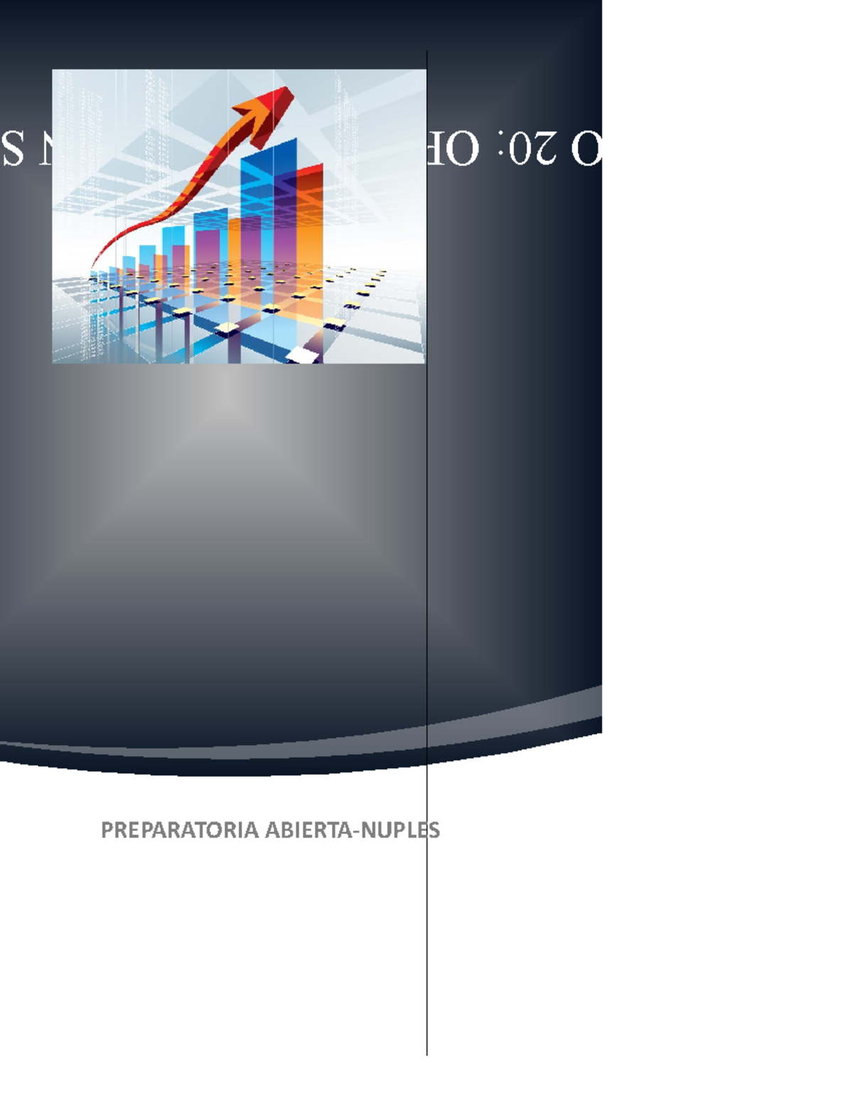 M20 - Nuples - DEL MÓDULO 20: OPTIMIZACIÓN EN SISTEMAS NA PREPARATORIA ...