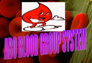 ABO Blood Group System - none - UNIT II: BLOOD GROUP SYSTEMS AND ...