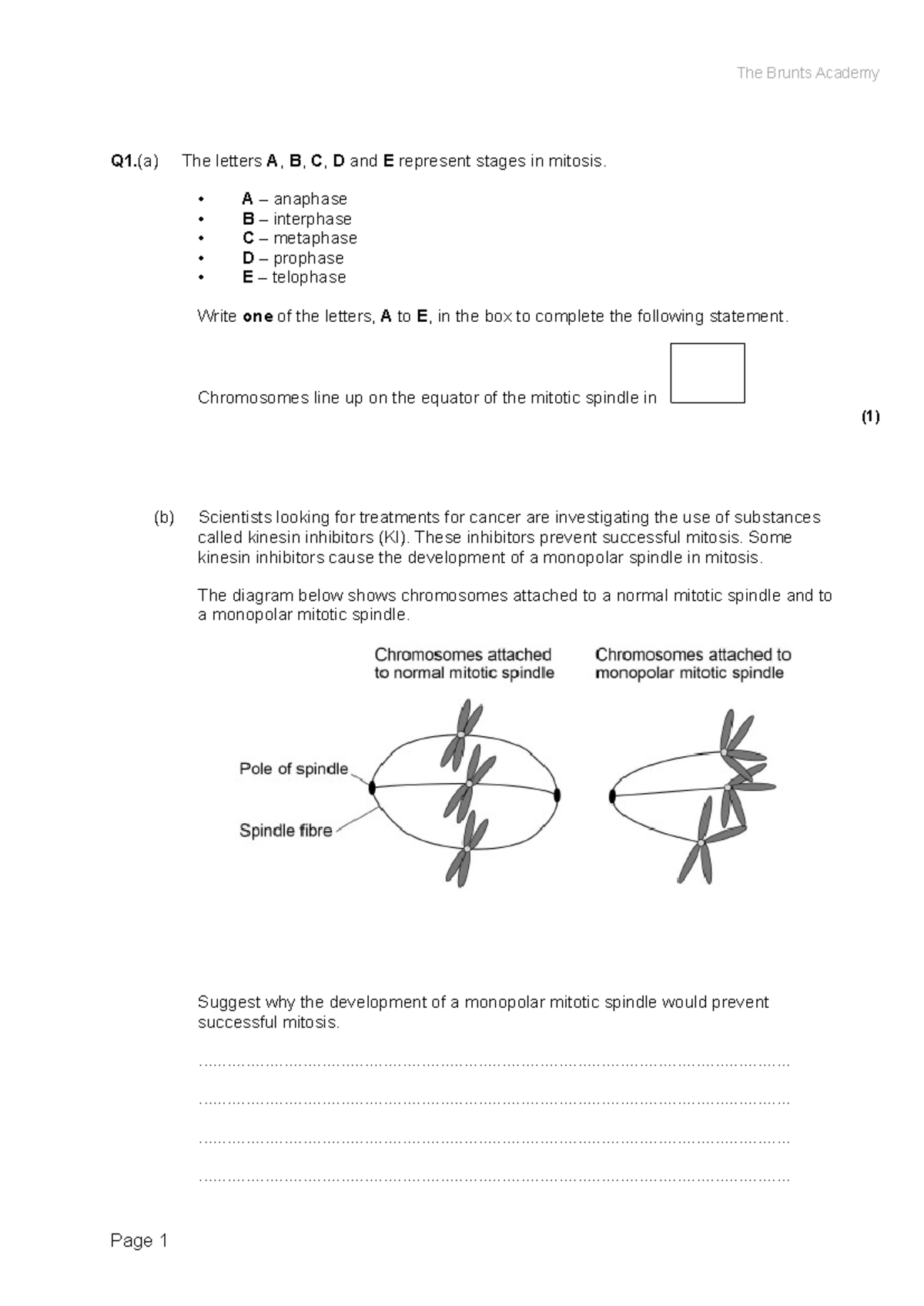 Mitosis - Q1.(a) The letters A, B, C, D and E represent stages in ...