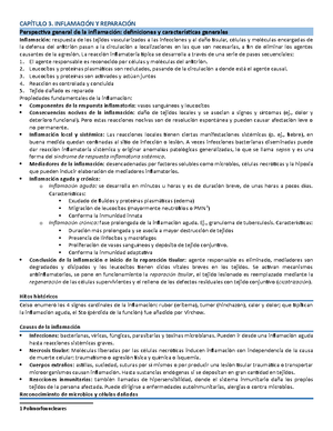Disoccupied Analysis - son apuntes - Willowbrook hepatitis water ...