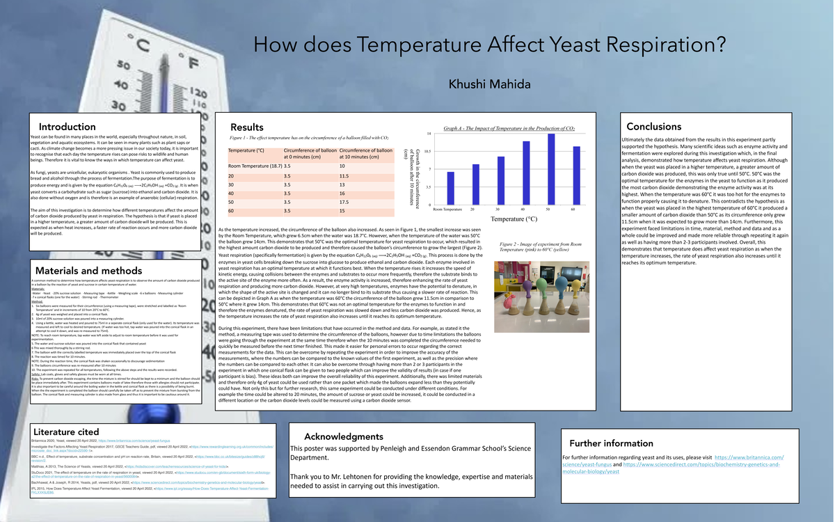 Biology poster - How does Temperature Affect Yeast Respiration ...
