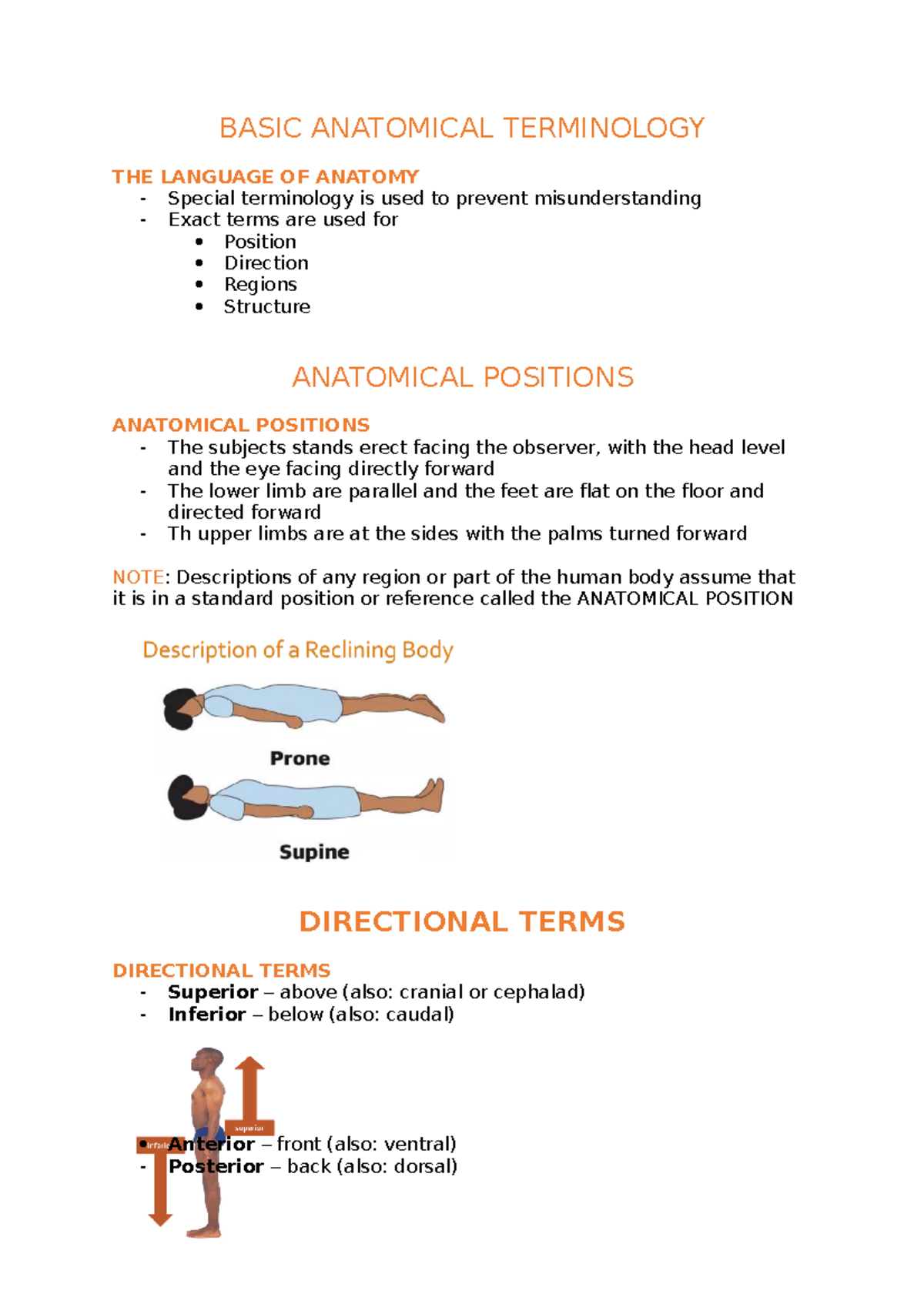 Basic Anatomical Terminology - BASIC ANATOMICAL TERMINOLOGY THE ...
