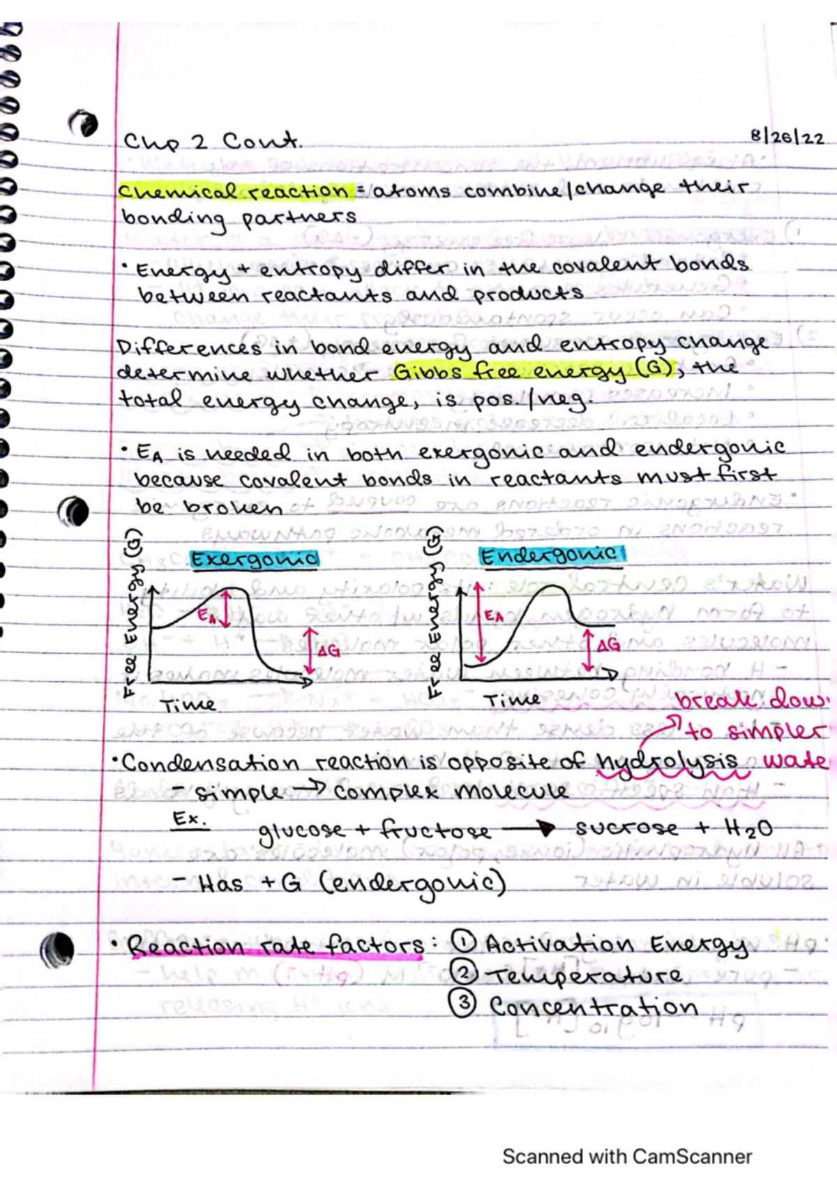Chapter 2 section 3 notes - BIOL14110AAA - Studocu