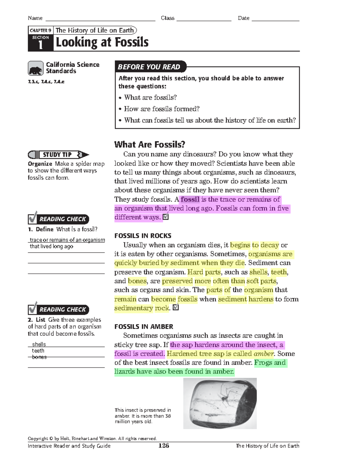 Kami Export - Bich Nhu Do - Fossil Record - Copyright © by Holt, Rinehart and Winston. All ...