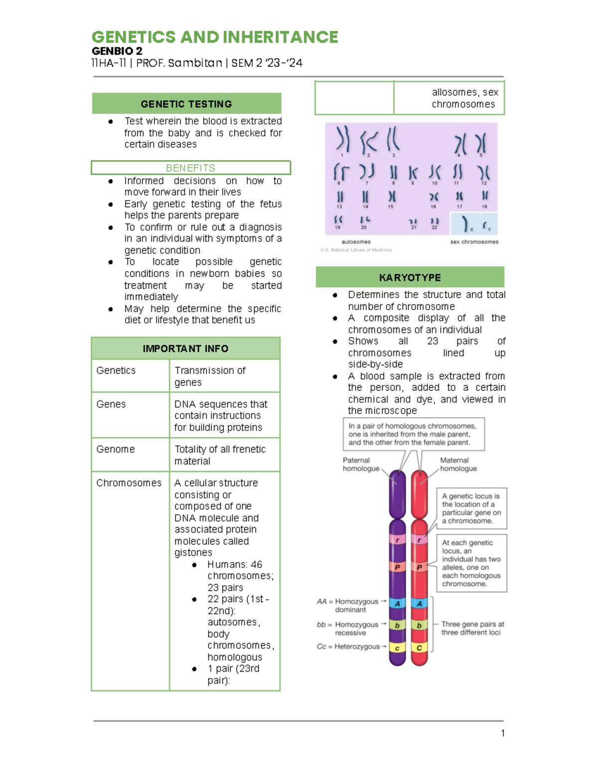 CHAPETR 19: GENETICS AND INHERITANCE - GENBIO 2 11 HA- 11 | PROF ...