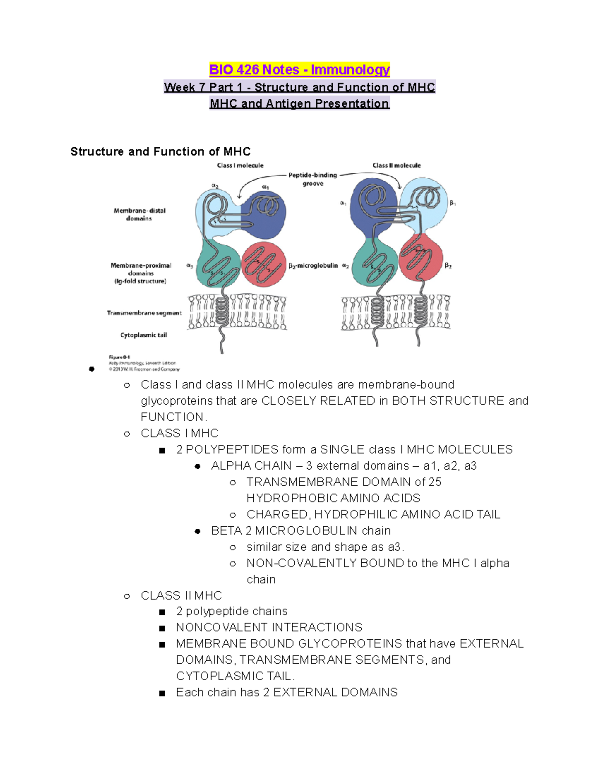 Bio 426 Week 7 Lecture Notes Part 1 Structure And Function Of Mhc