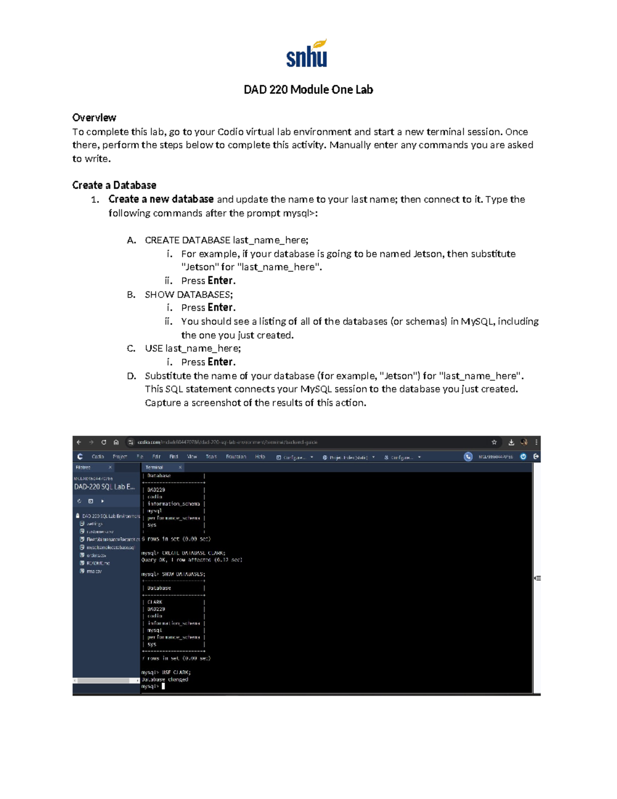 DAD 220 Module One Lab - my sql / codio lab - DAD 220 Module One Lab Overview To complete this ...
