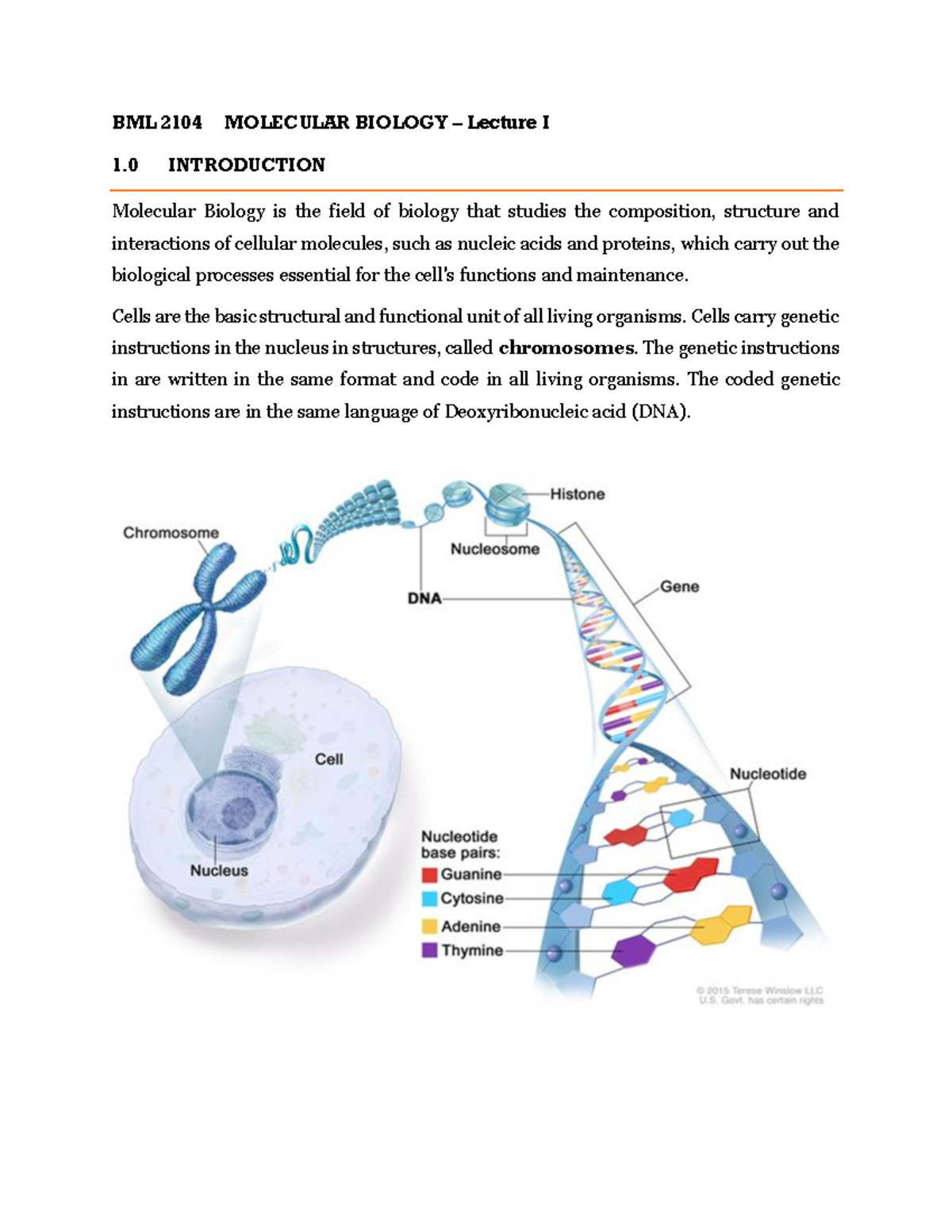 Lecture I BML 2104 Molecular biology - BML 2104 MOLECULAR BIOLOGY ...