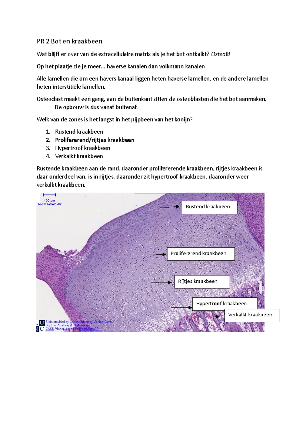 PR 2 - Practicum 2, Bot en kraakbeen - PR 2 Bot en kraakbeen Wat blijft ...