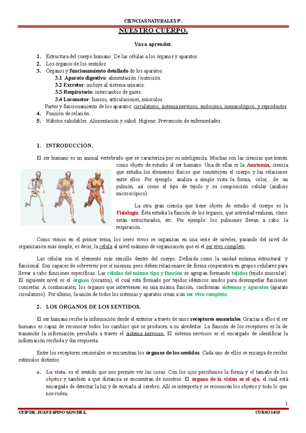 T 5 Nuestro Cuerpo Final - NUESTRO CUERPO. Vas a aprender. Estructura ...