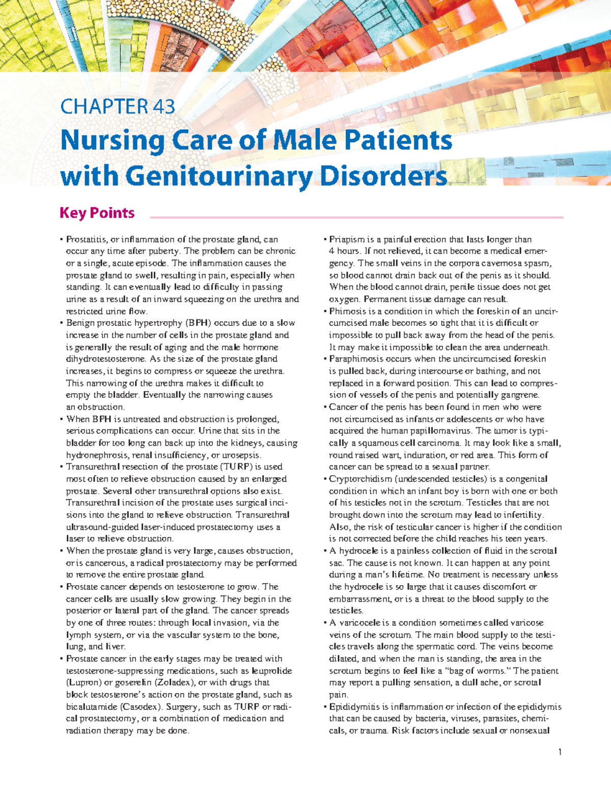 Ch 43 Key Points - CHAPTER 43 Nursing Care of Male Patients with ...