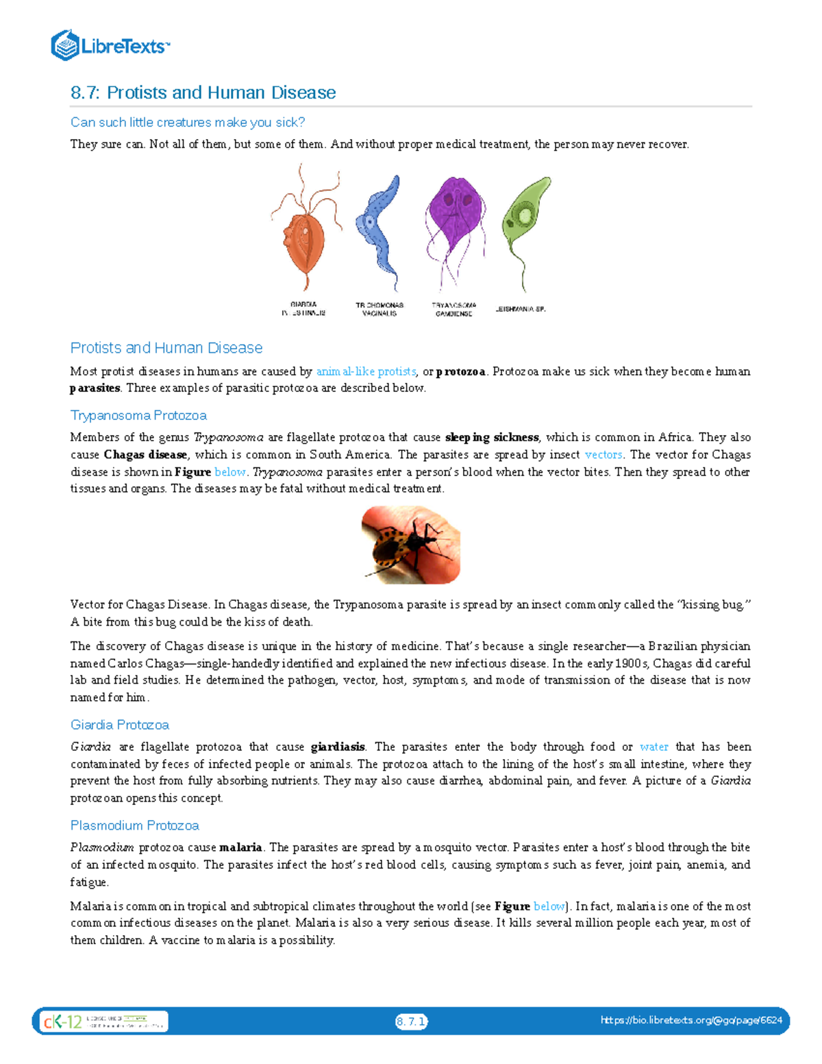 biology 101 292333 - 8.7 bio.libretexts/@go/page/ 8: Protists and Human ...