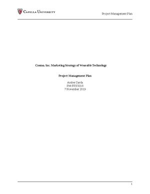 PM4DEV Project Risk Management - Project Risk Management PROJECT ...