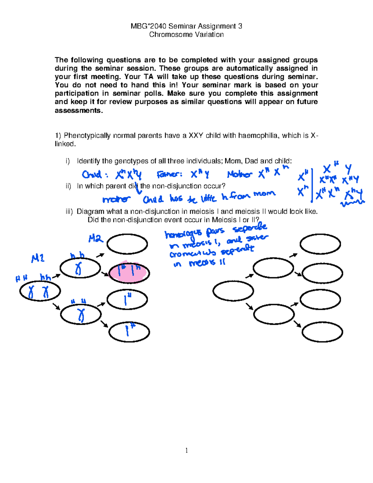 Chromsome Variation-Seminar 3SG - MBG*2040 Seminar Assignment 3 ...