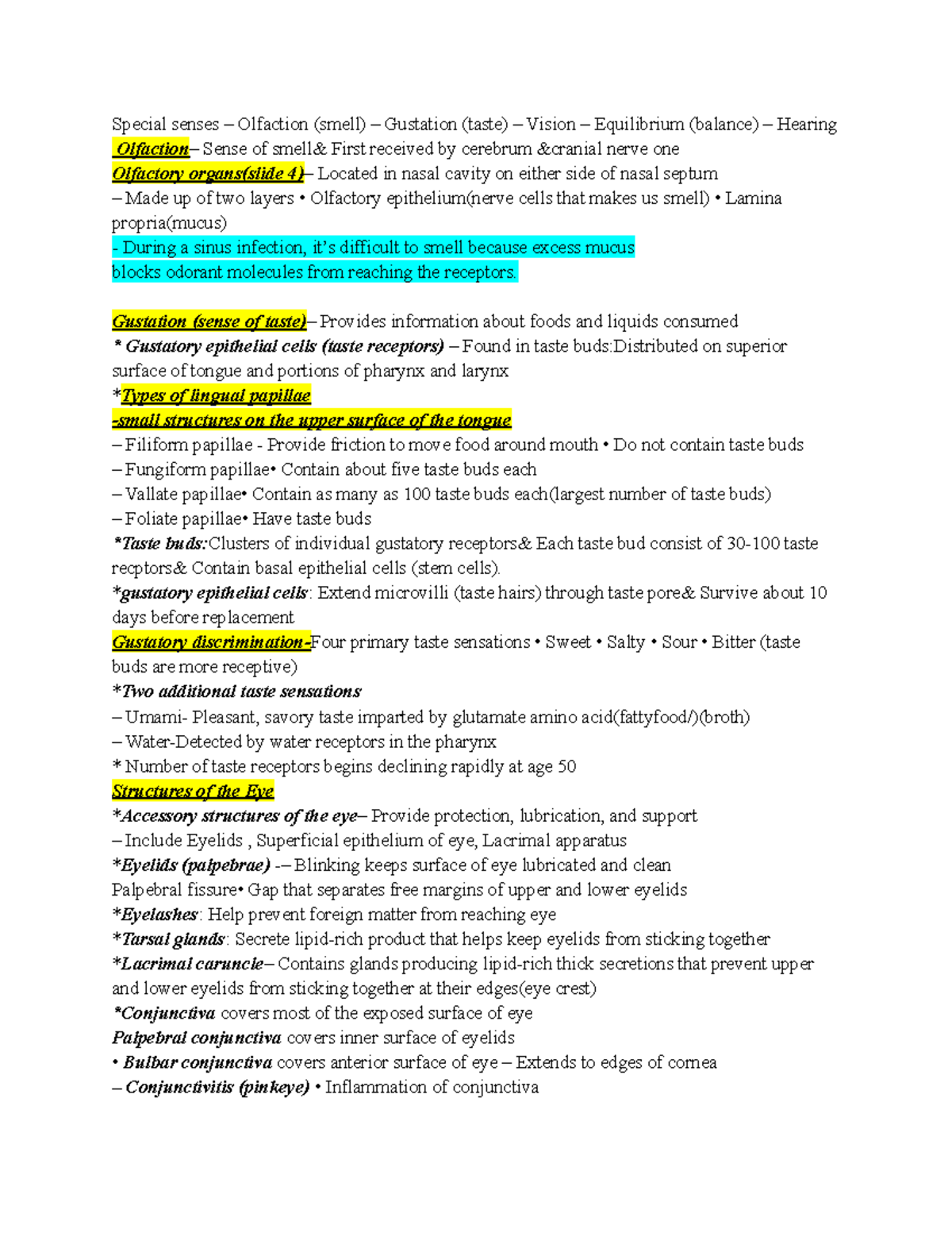 Chapter 17 special senses - Special senses – Olfaction (smell ...