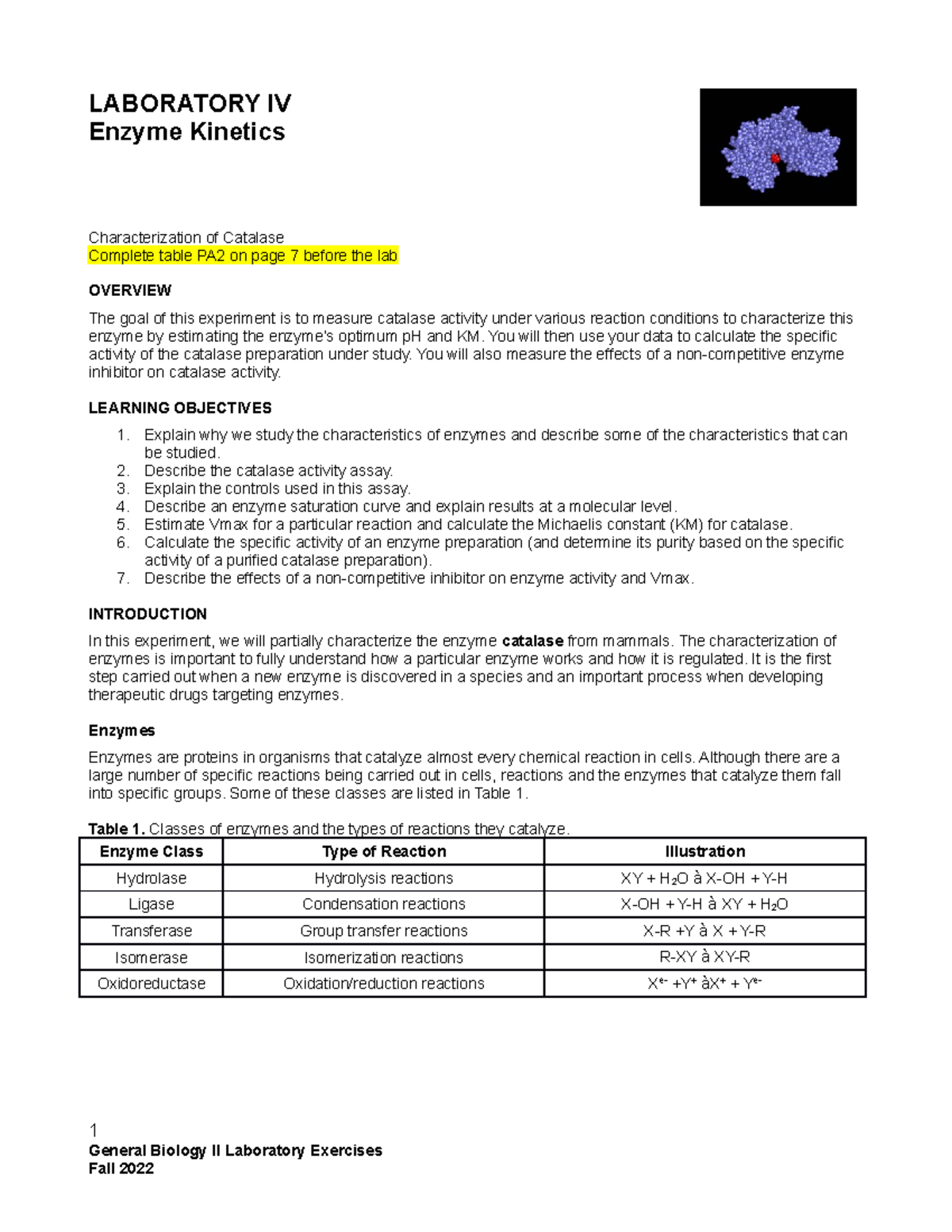 Lab 4 Enzymes revised F22 - LABORATORY IV Enzyme Kinetics ...