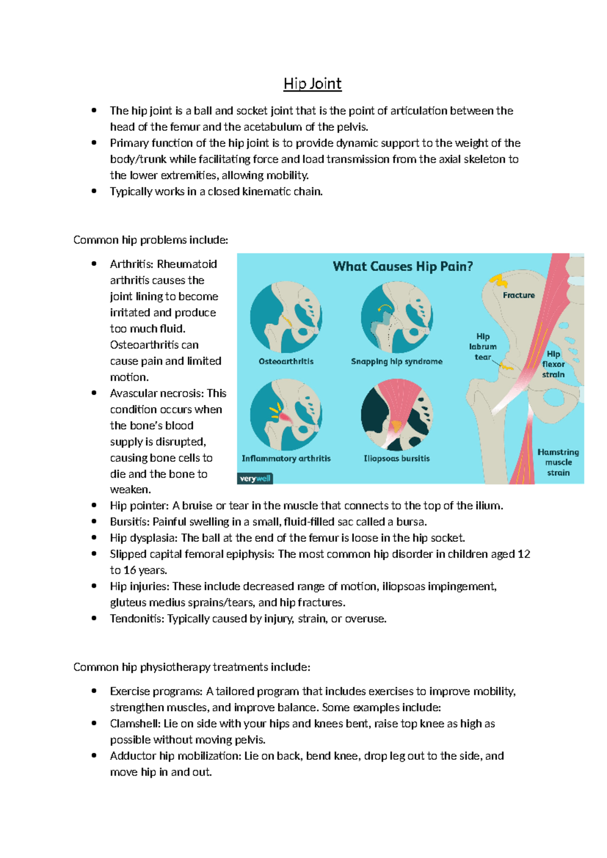 Hip Joint - Hip Joint The hip joint is a ball and socket joint that is ...