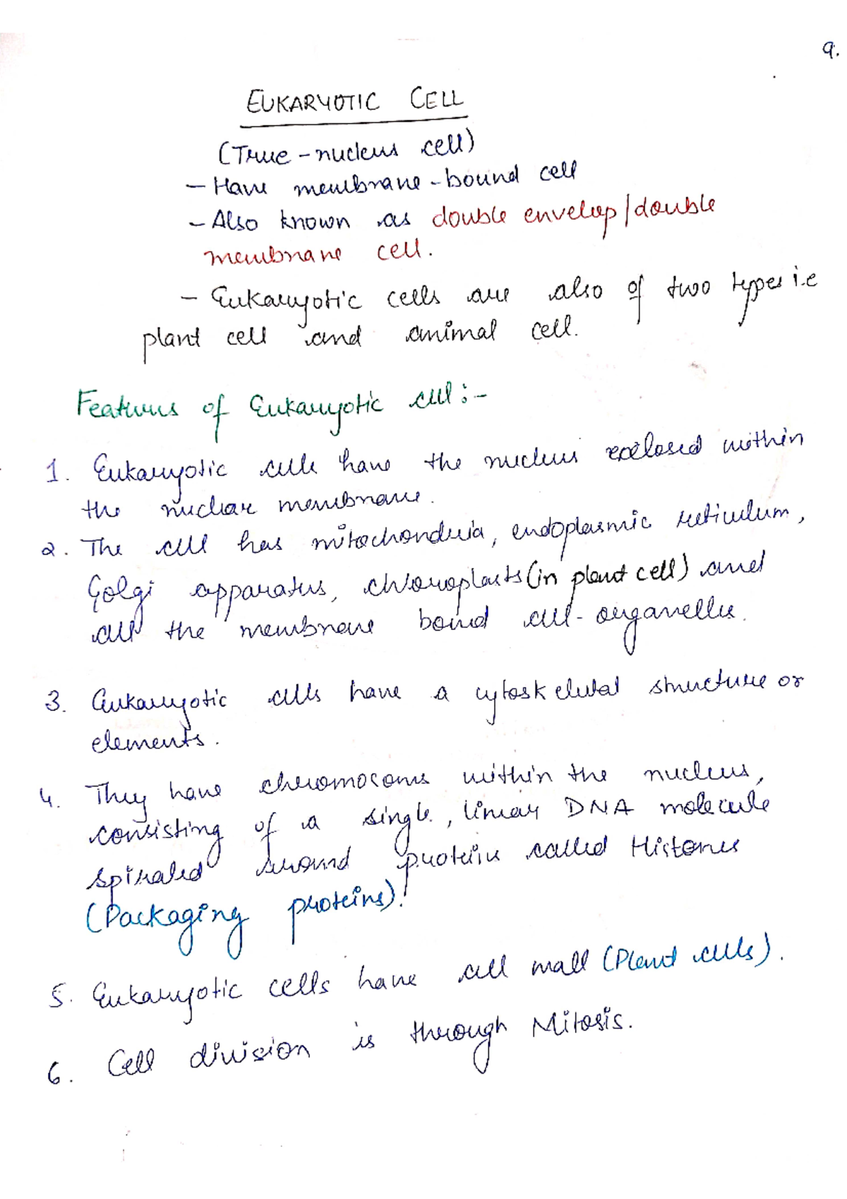 Eukaryotic cell - jgnrelkv - 9. EUKARYOTIC CELL (True nucleus cell ...