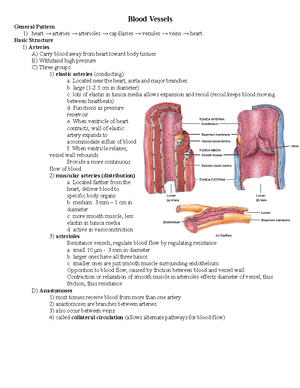 Different Patient Positioning - Different Positionings Supine Position ...