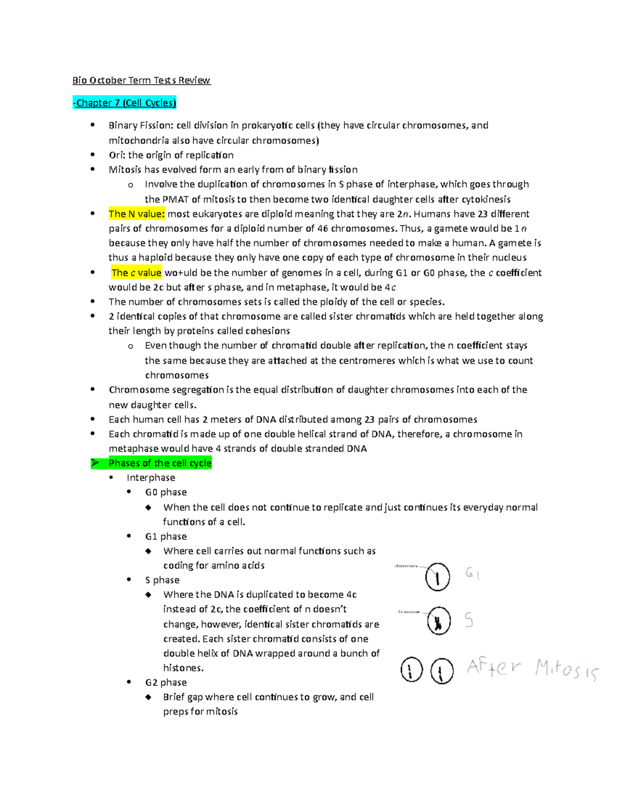 Bio October Term Test Review - Bio October Term Tests Review Chapter 7 ...