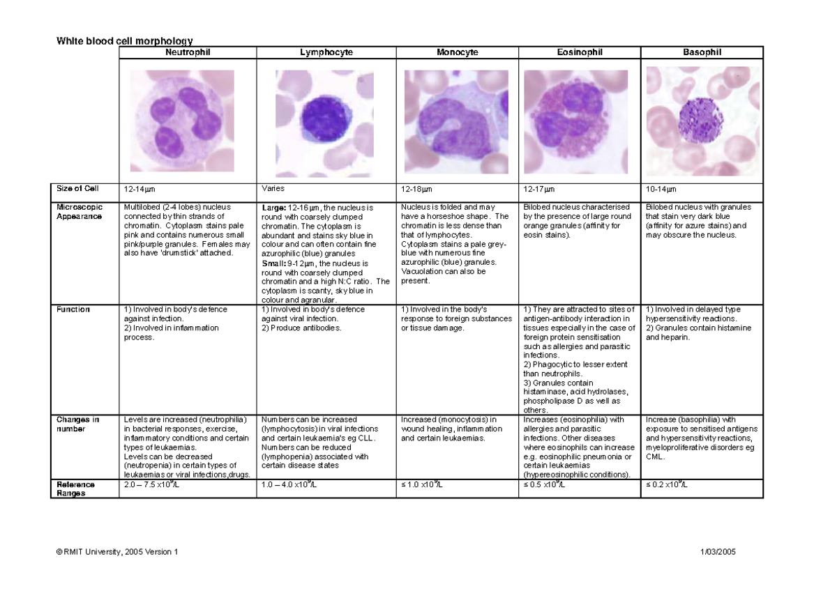 WBCTable V 1 (2)-1 - Different WBC details - White blood cell ...
