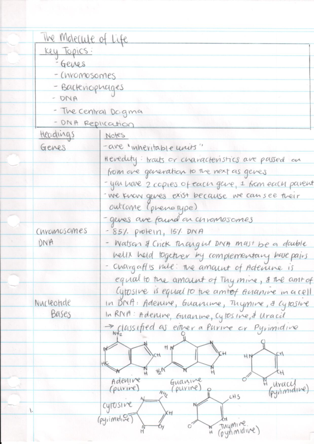 Molecule of Life - GENE2000 - Studocu