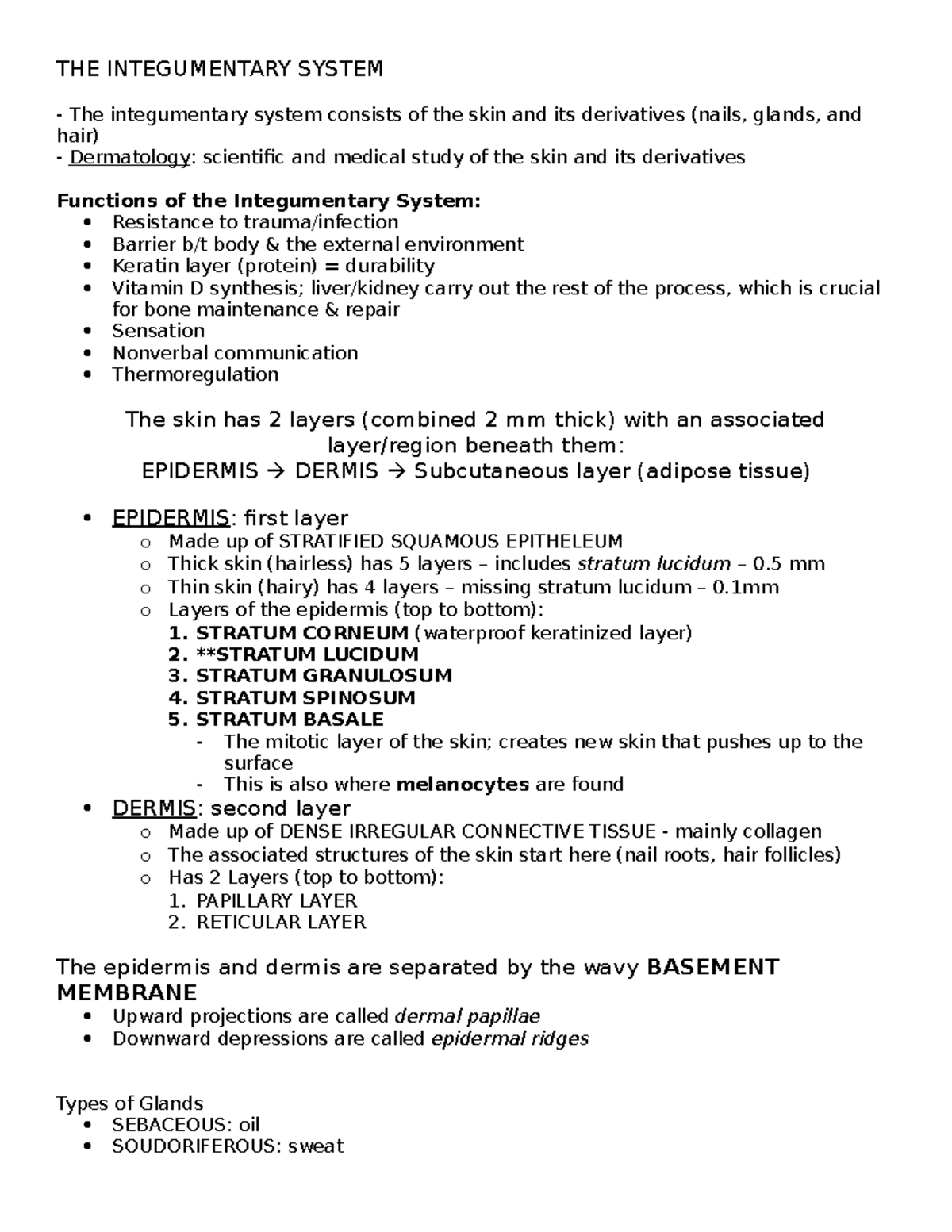 Integumentary System: Anatomy, Physiology, Complications - THE ...