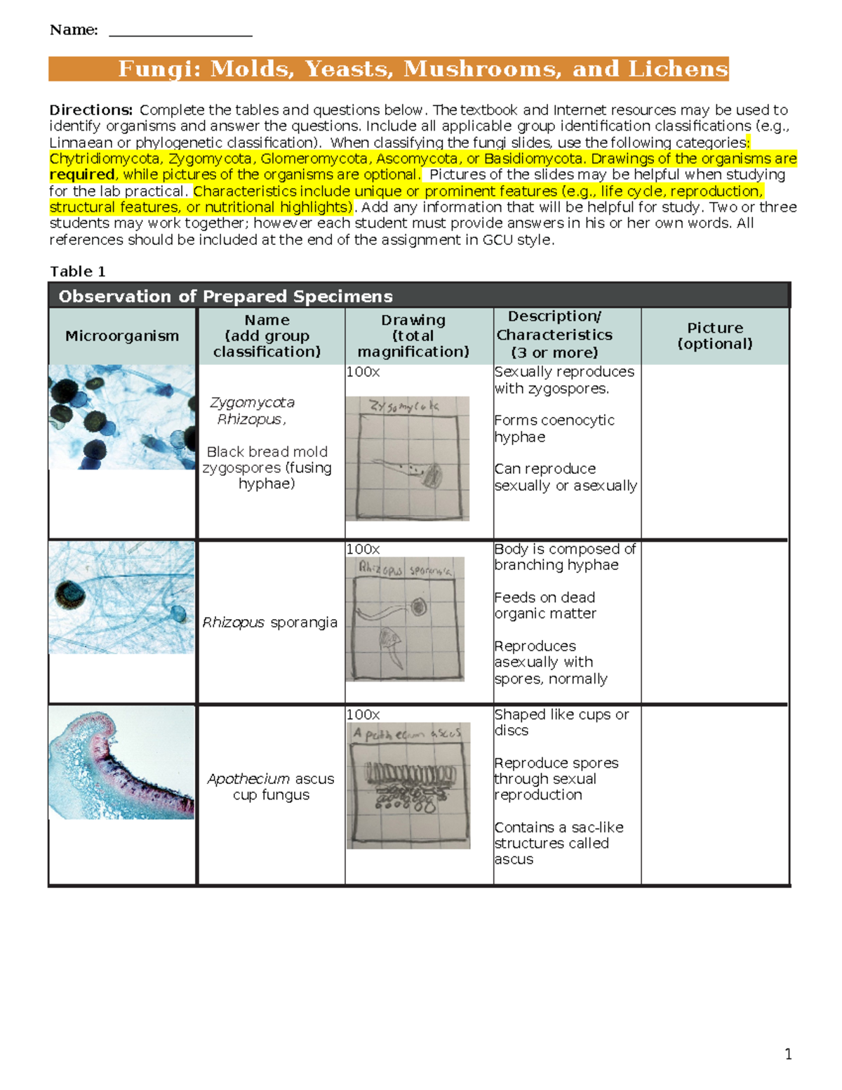 Bio182 lab 3 worksheet - Fungi: Molds, Yeasts, Mushrooms, and Lichens ...