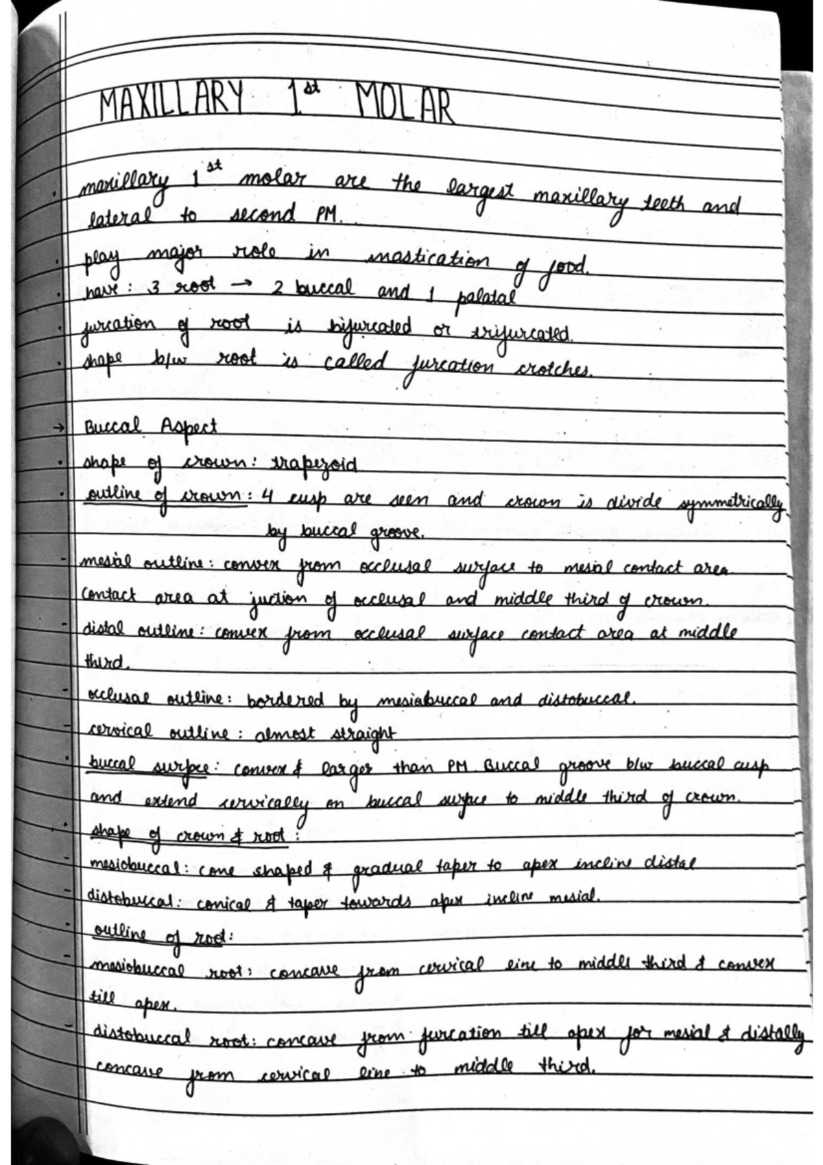 Document 7 - ...... - MAXILLARY st MOLAR manillary 1st molar are the ...