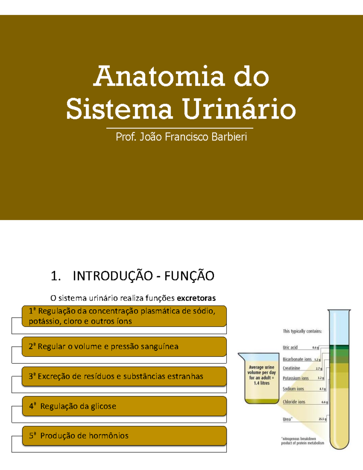 Resumo Do Sistema Renal - FDPLEARN